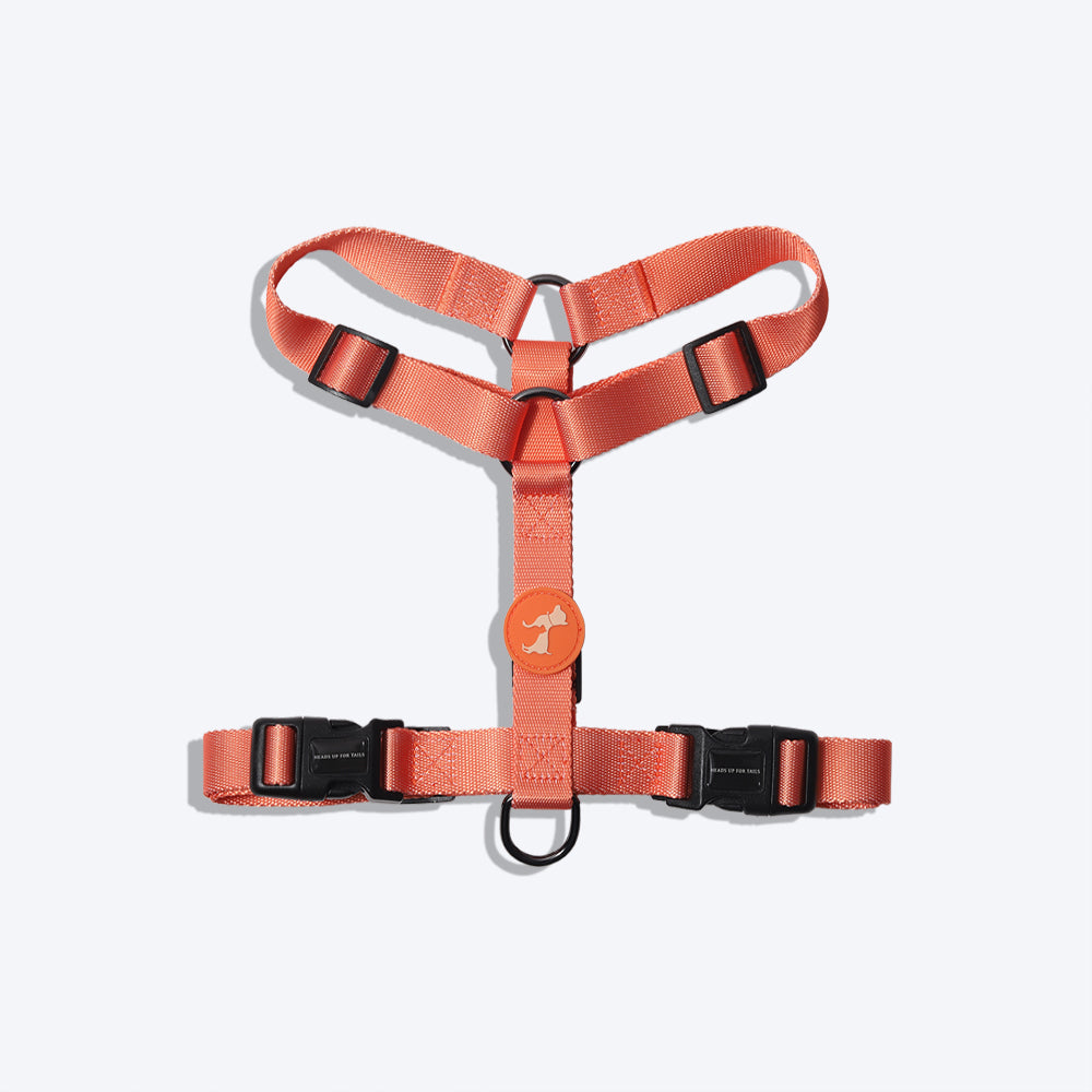 HUFT Classic Dog H Harness - Orange – HalfPe