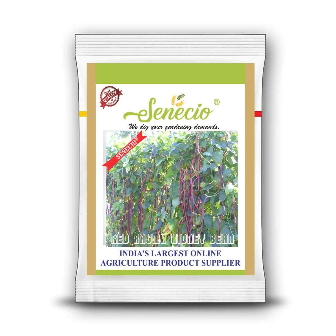 SENECIO Red Rajma Kidney Beans Seeds (25 in Pack) – HalfPe